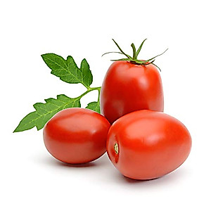 Heirloom Tomato Seeds for Planting Home Garden - Cherry - Roma - Beefsteak - Variety Tomatoes Seeds