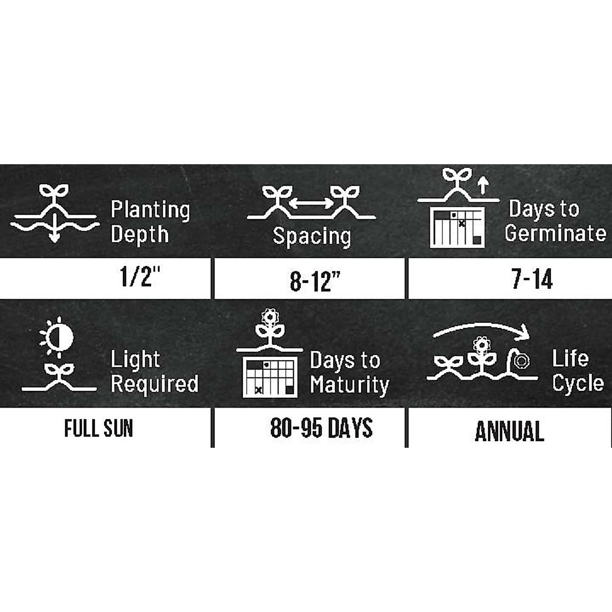 Sunflower Seeds for Planting – Plant & Grow Heirloom Chocolate Cherry Sunflowers in Home Outdoor Garden - Planting Instructions for Vibrant Blooms - Great Gardening Gift, 1 Packet