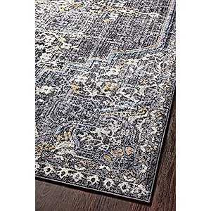 Loloi II Cassandra Collection CSN-02 Charcoal/Gold, Traditional 7'-10" x 10' Area Rug