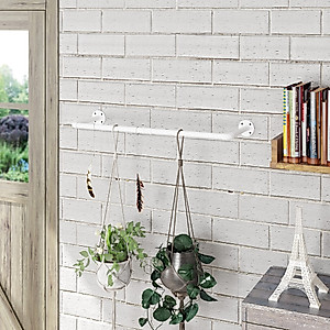 HOEMLIM Industrial Pipe Clothing Rack Wall Mounted Clothes Rack Heavy Duty Space-Saving Garment Bar Rack Detachable Multi-Purpose Hanging Rod,36 inch(White)