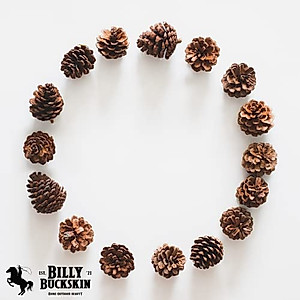 20 PineCones 3" to 4" Tall, Bulk Package in a Protective Box, Bug Free, All Natural, UNSCENTED, Perfect for Crafts, Christmas Trees, Firelighting, by Billy Buckskin Co.