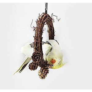 ATB2U Wooden Bird Swing Perch Parrot Hanging Toy Natural Wood Bird Chewing Toys for Small Sized Birds Pet Bird Parakeet Budgie Cockatiel Cage Hammock Swing Toy Hanging Cage Toys