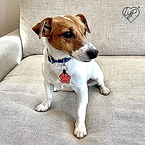 Love Your Pets Soundless Shapes Pet Tag - Deep Engraved Silicone - Double Sided and Engraving Will Last - Includes Shipping with Tracking- Pet ID Tags, Dog Tags, Cat Tags