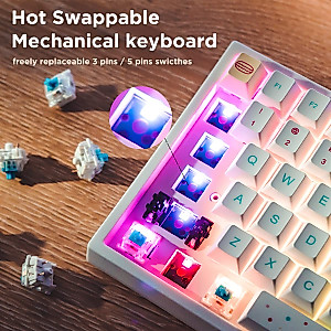 YUNZII Macaron 84 84-Key RGB Hotswap Wired Mechanical Gaming Keyboard with PBT Dye-subbed Keycaps for Mac/Win/Gamers (Gateron Black Switch,Macaron)