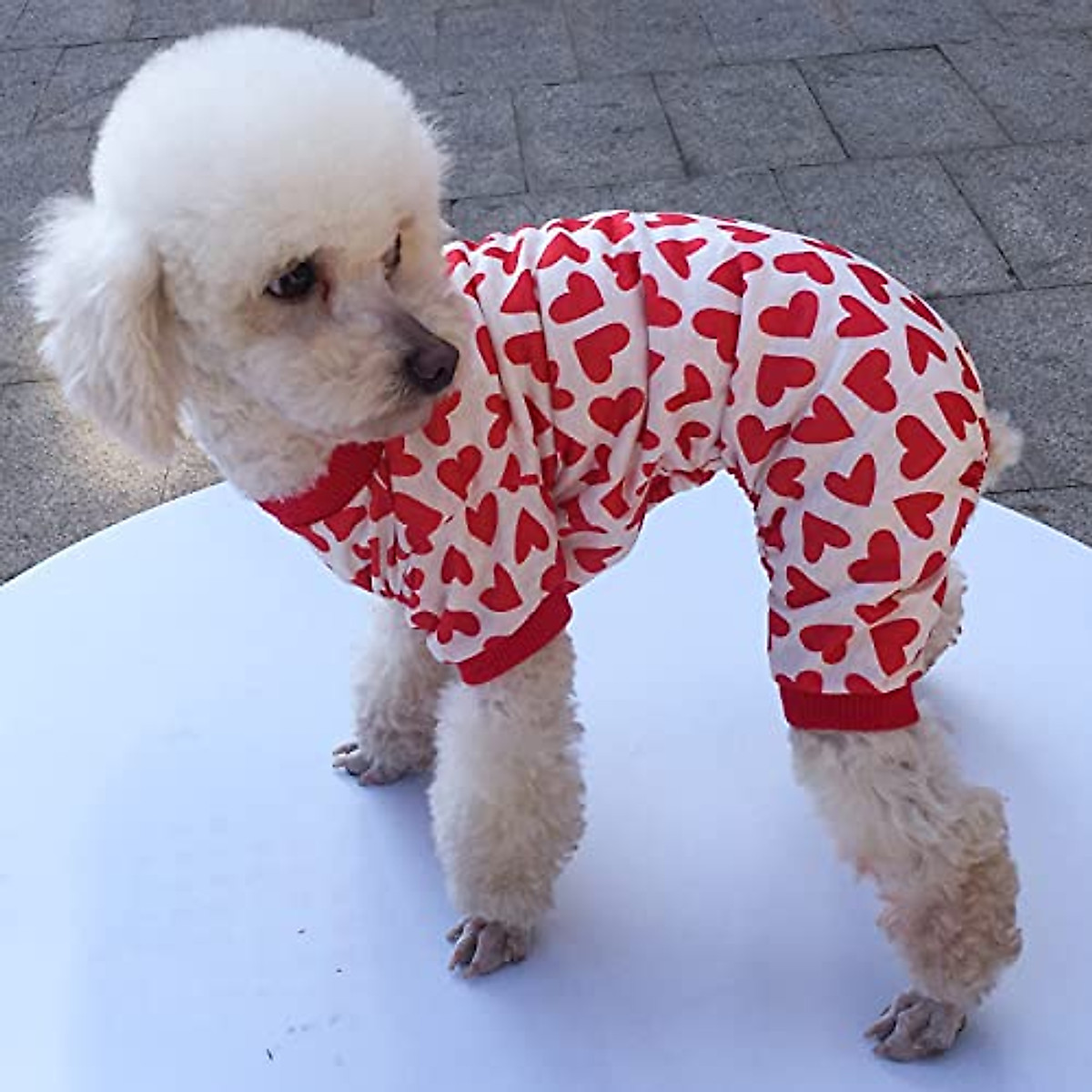 GUOHAN Summer Dog Clothes Pet Warm Four-Legged Pajamas Short Sleeve Pet Clothes Red S