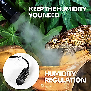 WACOOL Reptile Fogger with Humidity Controller, 4L Large Tank Reptile Humidifier with Humidistat & Extended Hose, Automatic Terrarium Fogger for Beared Dragon Lizard Gecko Snake Tortoise
