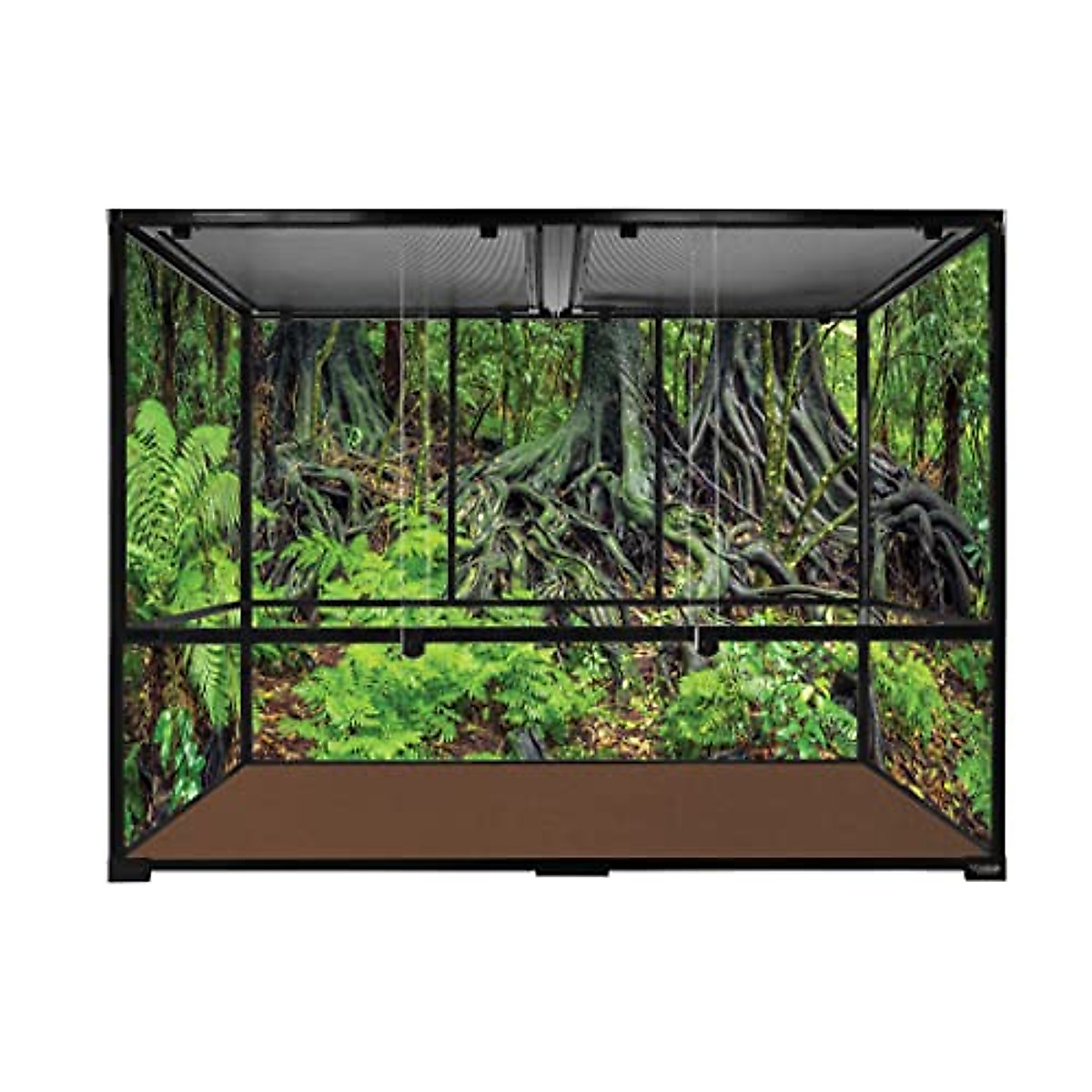 Carolina Custom Cages Terrarium, Bio Deep 48Lx24Wx36H, Easy Assembly