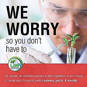 SOLARAY Bacillus Coagulans Probiotic, Shelf Stable | Full Body Support | 5 Bill. CFUs & Prebiotics, 60 VegCaps, 30 Serv.