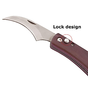 HANZIUP Mushroom Knife with Brush, Folding Fungus Lock Outdoors Truffles Harvest Sharp Knives, Natural Wood Handle, Neoprene Pouch