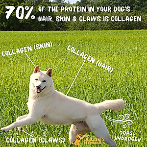 Dog Chits Beef Collagen Sticks for Dogs and Puppies | 12 Inch | Naturally Loaded w/Collagen | Amazing for Joints and Skin | Odor Free | All Natural | Long Lasting Chew | Grass Fed Beef | 6 Pack