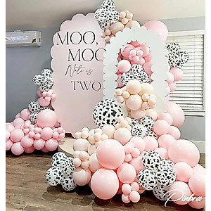 Pastel Pink Balloon Garland Kit Double Stuffed Light Pink Baby Pink Balloon Arch Different Sizes 18/12/5 Inch Latex Balloons For Baby Shower Wedding Gender Reveal Princess Birthday Party Decorations