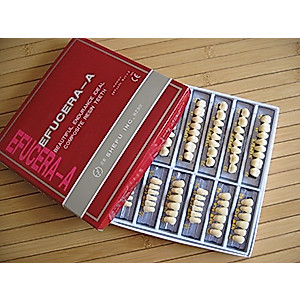 24 Plate 28X1 A1 Denture Shanghai ACRYLIC RESIN Teeth Dental Size 22