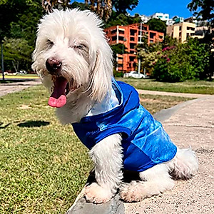 SILOPETS Puppy Clothes for Small Dogs Boy Hooded - Soft and Stretchy Small Puppy Clothes to Daily Walks - Sleeveless Puppy Clothes Boy (Sky S) Green