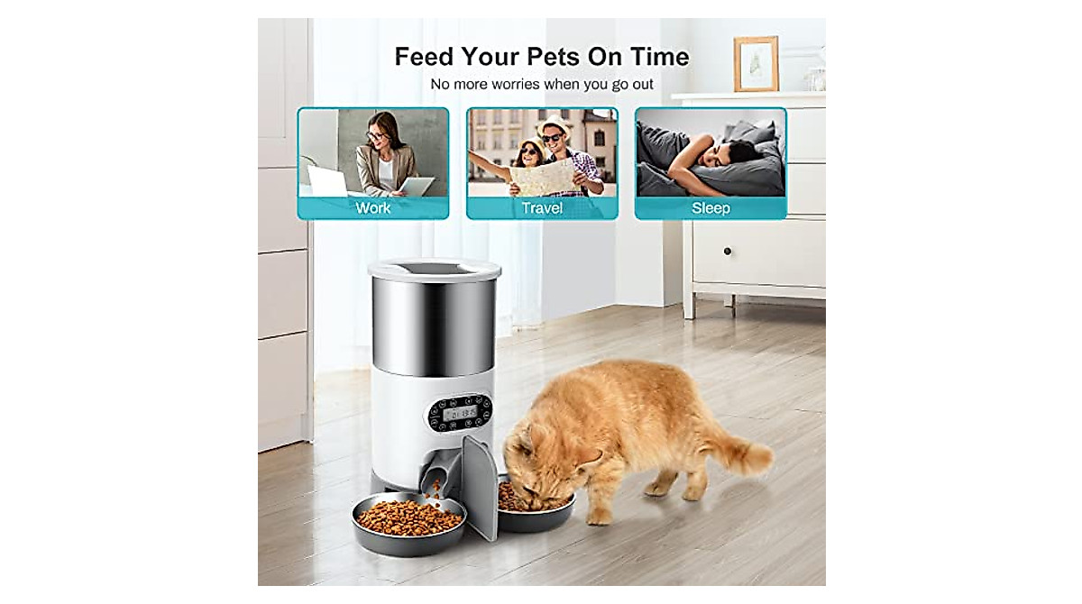 NautyPaws Dual Cat Feeder: Timed Feeding & Meal Call