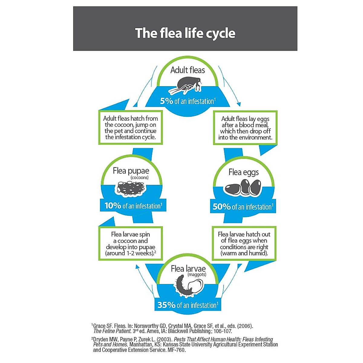 Bayer Animal Health Quad Dewormer for Large Dogs (Over 45 lbs) 2 Chewable Tablets