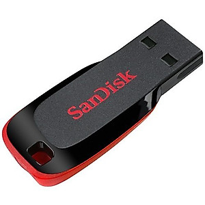 SanDisk Cruzer Blade 8GB (10 pack) USB 2.0 Flash Drive Jump Drive Thumb Drive SDCZ50-008G-10PK w/ (5) Everything But Stromboli (TM) Lanyard