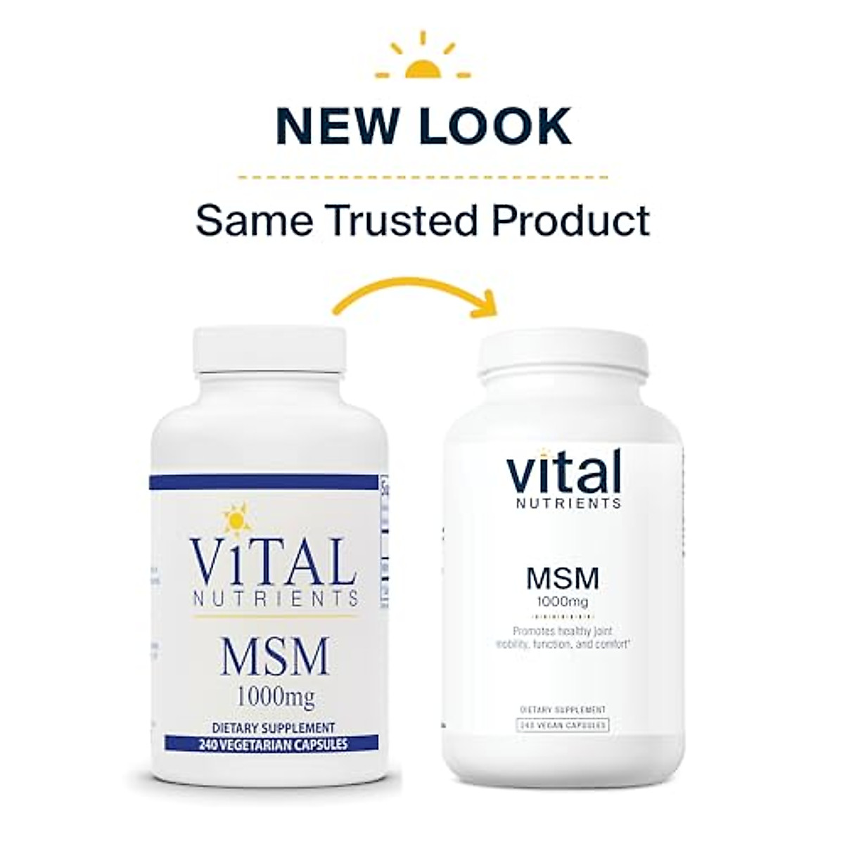 Vital Nutrients - MSM - Natural Form of Organic Sulfur - 240 Vegetarian Capsules per Bottle - 1000 mg