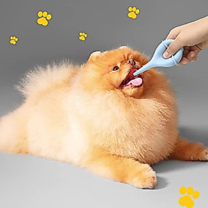 9 Pieces Puppy Feeding Tube Kit Includes 8 FR Red Rubber Kitten Feeding Tubes 10 ml Clear Feeding Tube Syringes Bulb Syringe Feeding Tools for Small Animals Pet Supplies Feeding Measuring Watering