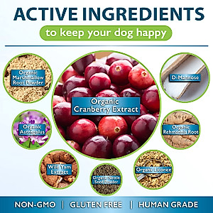 Nutrition Strength Dog Incontinence Support, Extra Strength Supplement for Dog Bladder Health, Organic Support for Dogs Leaking Urine, Promotes Dog Bladder Control, 30 Soft Chews