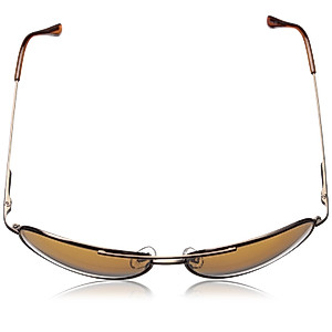 Suncloud Patrol Metal Sunglasses - Brown | Brown