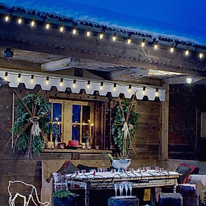 Pallerina 25 Pack LED C7 Clear Replacement Bulbs,Clear Christmas Light Bulbs 0.6Watt Dimmable E12 LED Light Bulbs for Night Light Candles Chandeliers Christmas String Lights, Warm White