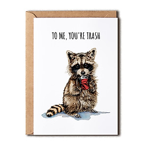 EruditeGifts To Me You're Trash - Funny Birthday Card - Birthday Card For Friend - Birthday Card For Him Or Her - Toronto Card - Funny Raccoon Card