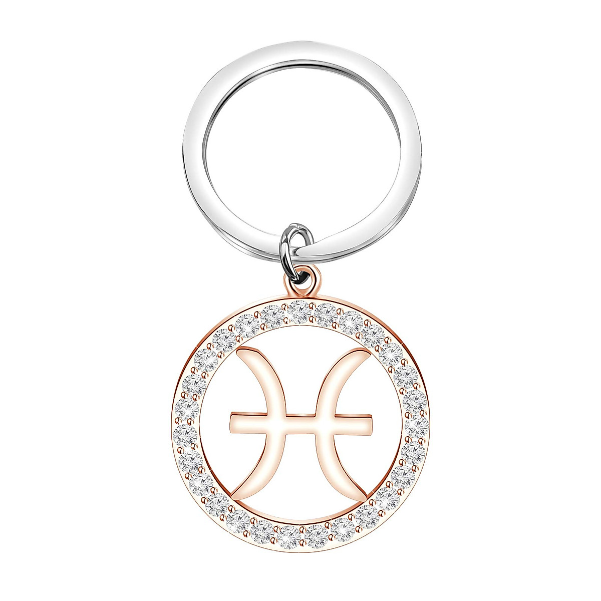 TGBJE Zodiac constellation Keychain Zodiac Sign Gift Zodiac Outline Gift Horoscope Constellation Celestial Zodiac Keychain (RG Pisces)