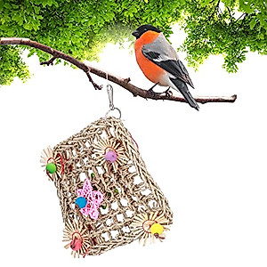 Bird Climbing Net,Straw Braid Rope Net Hammock Ladder Bird Toy Hanging Foraging Wall Toys with Hanging Hook for Parakeet Cockatiel Budgie Lovebird