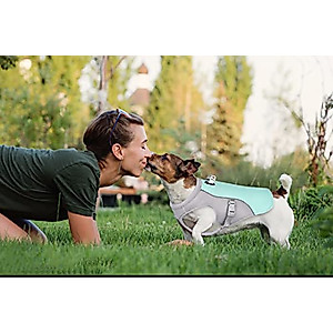 TVMALL Dog Cooling Vest Breathable Mesh Dog Jacket Summer Cool and Comfortable Dog Coat Adjustable with Reflective Strip Pet Clothes Suitable for Large Medium and Small Dogs (S, New-Blue)
