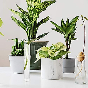 60Pcs Test Tubes with Rack, 16x100mm(10ml) Clear Plastic Test Tube with Caps and Holder Rack Test Lab Tubes for Scientific Experiments, Nurse Party Decorations, Candy Storage