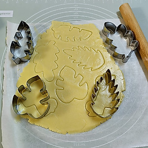 LUBTOSMN Tropical Leaves Cookie Cutter Set-4 Piece- Oak Leaf, Monstera Leaf, Fern Leaf, Tropical Leaves Cookie Fondant Biscui Cutters