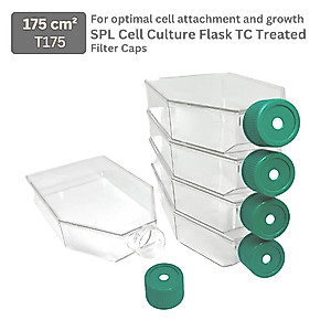 SPL Cell Culture Flask 175 cm2 (T175) Filter Cap, Treated, Sterile 40/Case