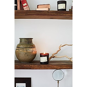 Paddywax Library Collection William Shakespeare Scented Soy Wax Candle, 6.5-Ounce, Paprus, Palm & Eucalyptus