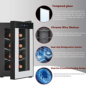 Vaykold 8 Bottle Wine Fridge, Small Wine Cooler for Red White, Wine Refrigerator with Dual-Pane Gray Glass Door, Quiet Steady Thermoelectric Operation, 41-64F, Designed for Party, Basement, Bar, Gift