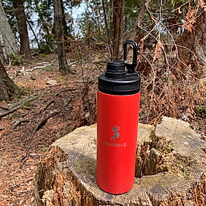 Aquapelli Vacuum Insulated Water Bottle, 18 ounces, Aurora Red