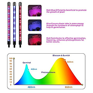 LED Grow Light for Indoor Plants, 4WDKING 40W Full Spectrum Plant Growing Lamps with Auto ON/Off Timer 10 Level Brightness 3 Switch Red/Blue Modes