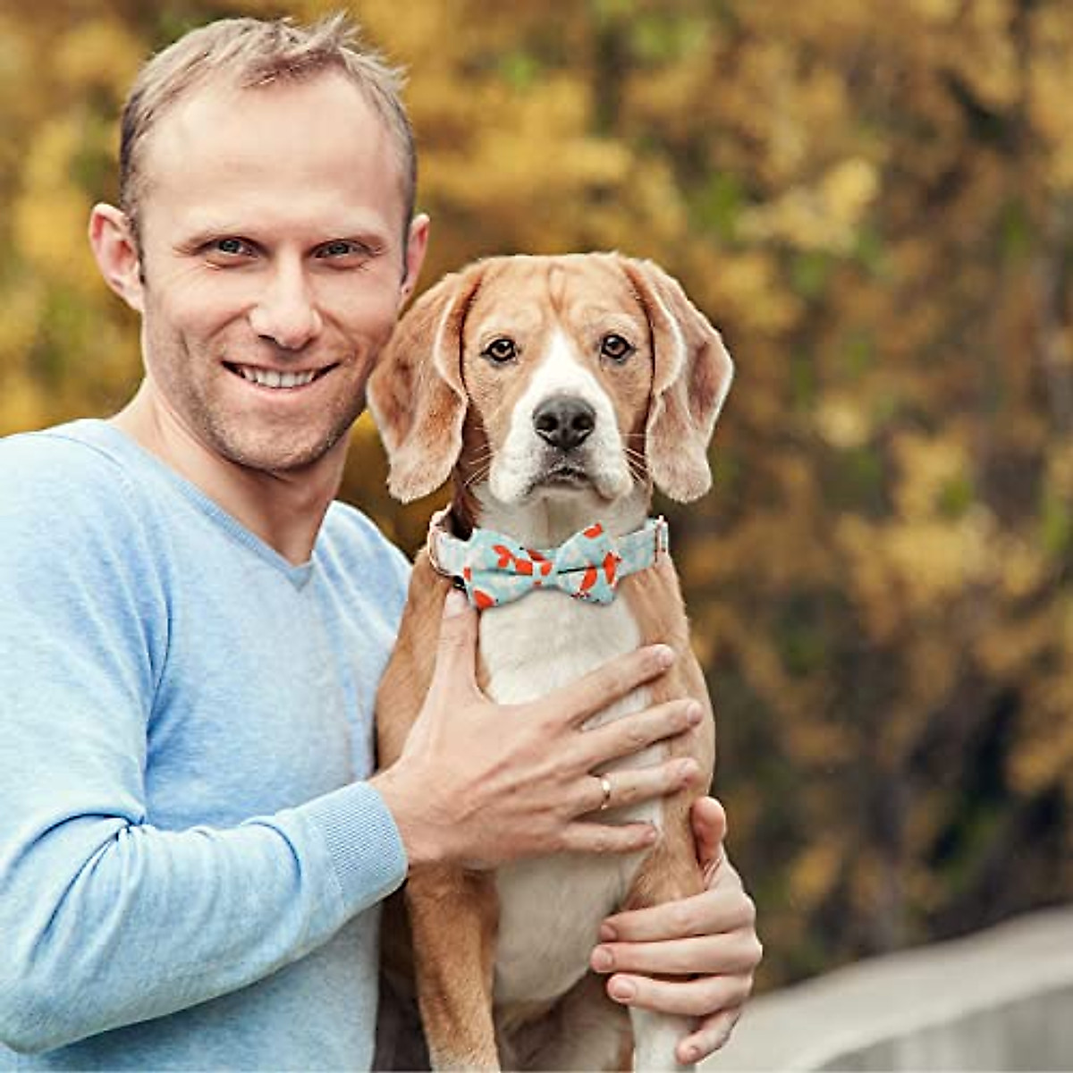 Personalized Dog Collars with Bowtie for Female Dogs,Cute Custom Dog Collar for Girl Dog Engraved with Name and Phone Number for Puppy Small Medium Large Dogs