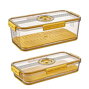 CottonColors Refrigerator Organizer Bins Superior Food Storage Container with Freshness Timer Lid, Drain Tray - Fits for Fruits,Vegetable,Meat,Dumpling,2 Rectangle Sets