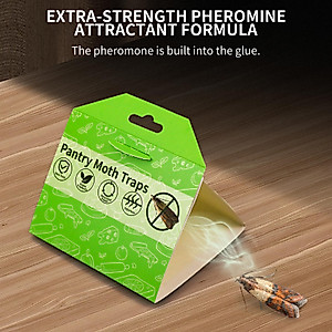 UltraPestcide Pantry Moth Traps with Pheromones, 6 Pack - Sticky Glue Moth Traps for House Kitchen, Indoor Pantry Moth Killer, Premium Attractant Moth Pheromone Traps