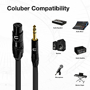 Balanced XLR Cable Female to 1/4" TRS Male - 100 Feet Blue - Pro 3-Pin Microphone Connector for Powered Speakers, Audio Interface or Mixer for Live Performance & Recording