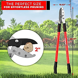 TABOR TOOLS GG12A Anvil Lopper with Compound Action, 30 Inch Tree Trimmer, Branch Cutter with ⌀ 2 Inch Cutting Capacity, Chops Thick Branches with Ease.