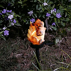 Juliahestia Squirrel Garden Decor Solar Lights Outdoor Stakes Decorative Statue Patio Yard Lawn Porch Housewarming Cute Animal Figurines Ornaments Pathway Resin Waterproof
