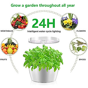 EVERECOO Hydroponics Growing System, 4 Pods Indoor Herb Gardening System with LED Grow Lights, Automatic Timer and Pump, Hydroponic Plant Germination Kits for Vegetable/Lettuce