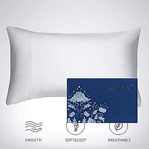 LEJIAN Silk Bedding Pillowcases - 2 Pack Queen Size(20X30 Inch) - Hemstitched Pillow Cases - Soft Silk Pillowcase with Envelope Closure, White