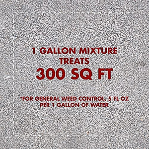 Spectracide Weed & Grass Killer Concentrate, Use On Driveways, Walkways and Around Trees & Flower Beds, 64 fl Ounce