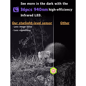 BLAZEVIDEO 2-Pack Trail Game Cameras 48MP 1296P Video No Glow Night Vision 110° Field of View Motion Activated IP66 Waterproof for Outdoor Wildlife Hunting, Animal Observation, Backyard Security