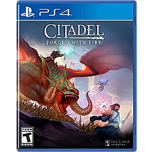 Citadel Forged with Fire - PlayStation 4 Standard Edition