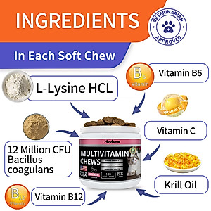 HEYISME Lysine Supplement for Cats, Cat Treats for Sneezing and Runny Nose, Cat Cold, Cat Immune Support, Eye Function, and Respiratory Health, L-Lysine Cat Vitamins for Cats (Salmon, 120 Chews)