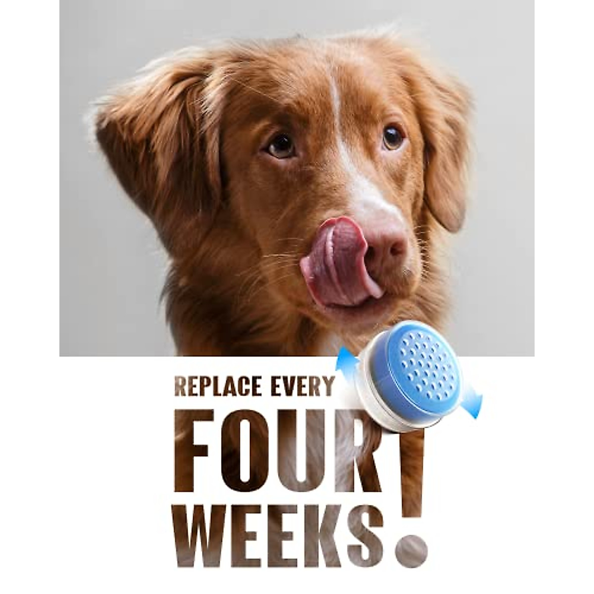 Ciays Replacement Filters Only for Ciays 236oz/7L Pet Water Fountain Ultra-Large Capacity Cat Water Fountain Dual Filtration Dog Water Fountain Bowl with Huge Drinking Area 12 Pcs, Blue