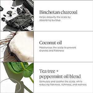 Briogeo Scalp Revival Charcoal + Coconut Oil Micro-Exfoliating Shampoo, Treatment for Dry & Itchy Scalp, Clarifying Shampoo for Build Up, Scalp Scrub for Oily Scalp, Vegan, Cruelty-Free, 8 fl oz